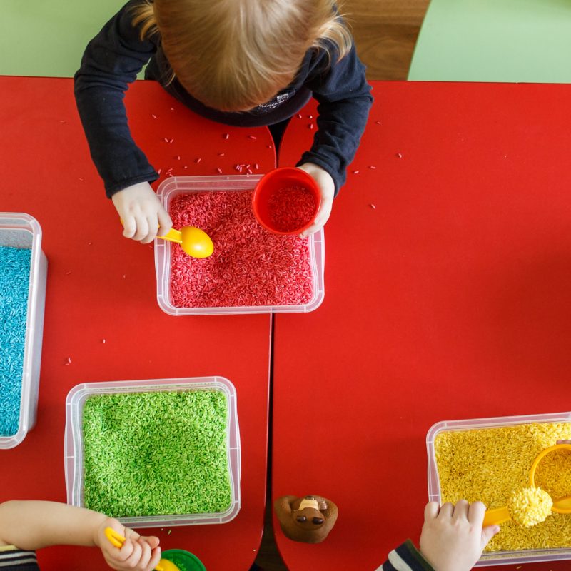 Using Household Items to Promote Language Development | TherapyWorks
